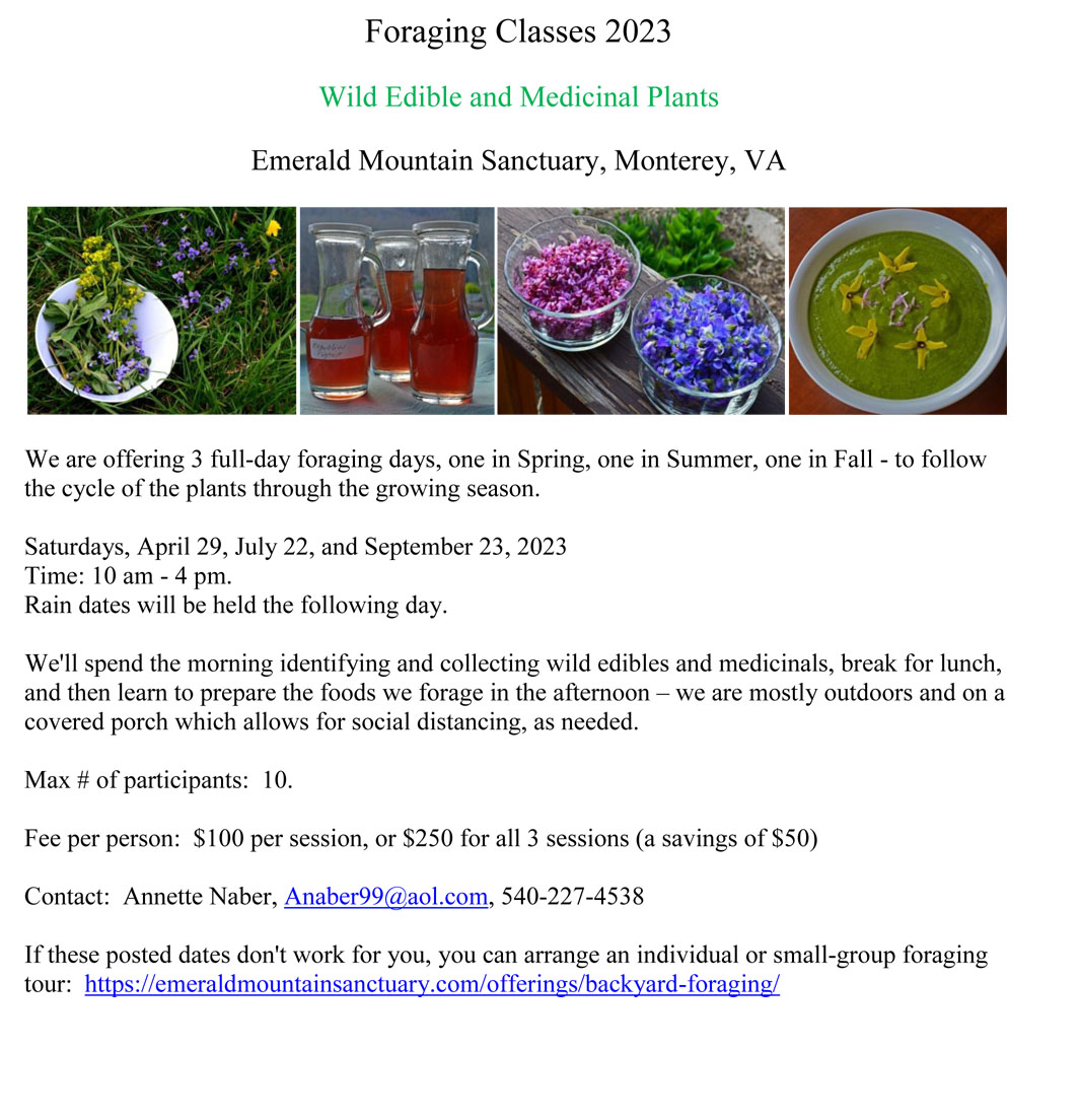 2023 Foraging Classes – Emerald Mountain Sanctuary